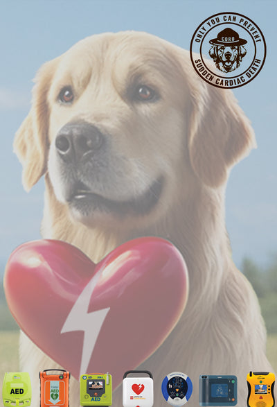 Shop AEDs & Accessories | AED.us